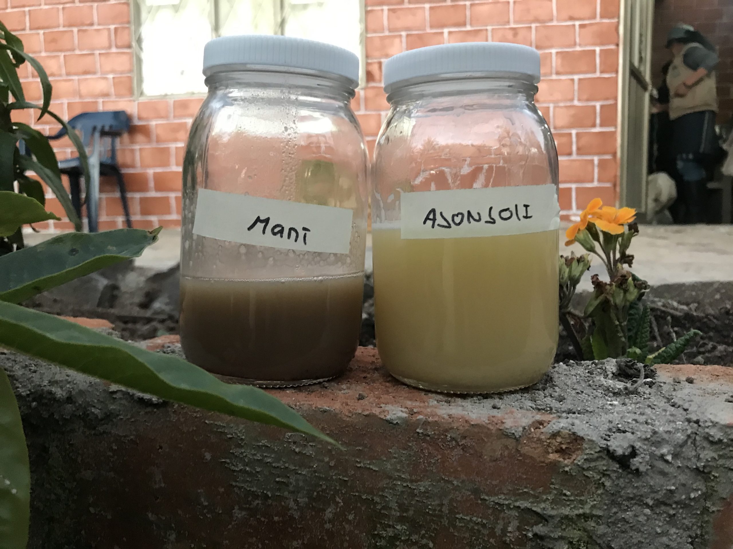 Vegetable oil training for Impulso Verde Nursery Network - Impulso Verde